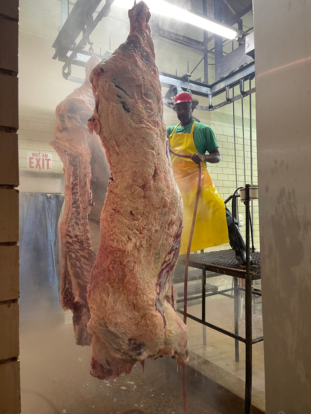 Weimar Meat Company – Page 3 – Weimar Meat Company
